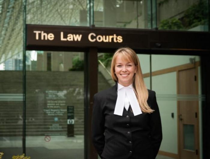 Access Pro Bono Homepage